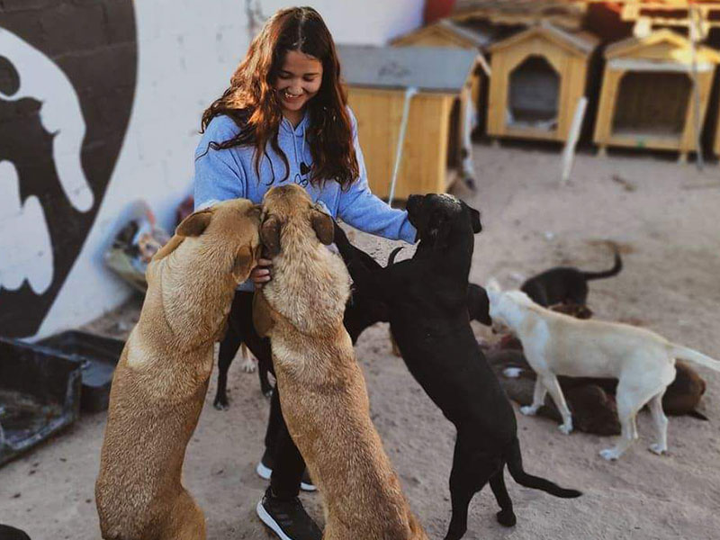 Juaritos, apoyemos esta noble labor - Juárez Digital