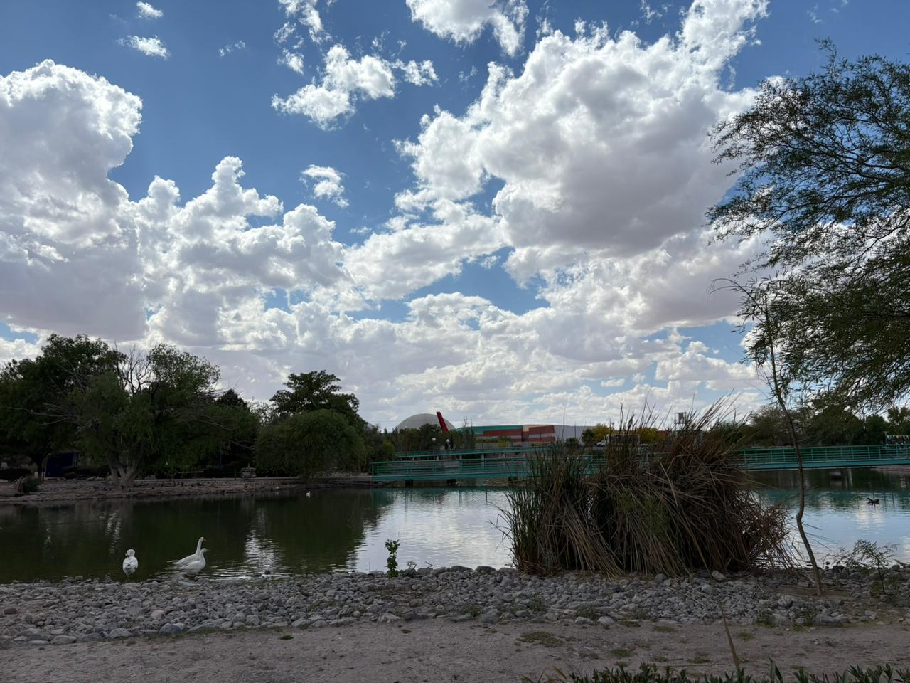 Llegará la temperatura a los 37 grados centígrados - Juárez Digital