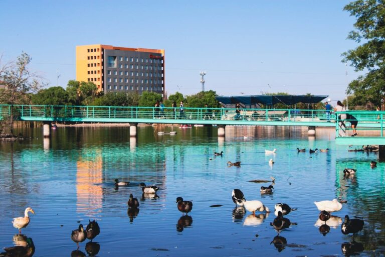 ¿Recuerdas los animales que habitaban en el Parque Central? - Juárez ...